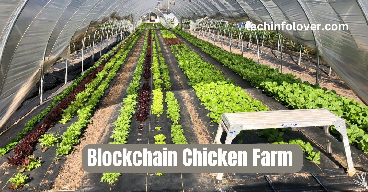 Blockchain Chicken Farm: Absolutely revolutionizing Poultry Industry ...