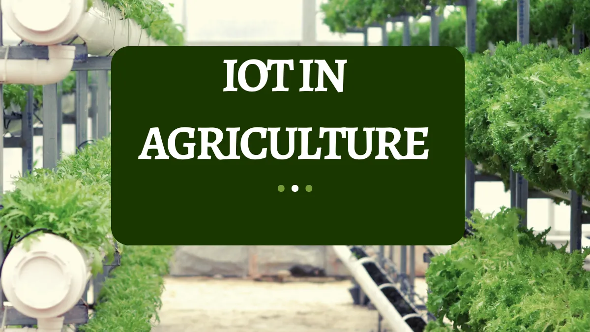 Internet of Things (IOT) - Tech Info Lover